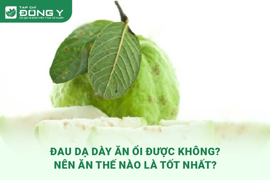 Đau Dạ Dày Ăn Ổi Được Không? Những Lưu Ý Quan Trọng